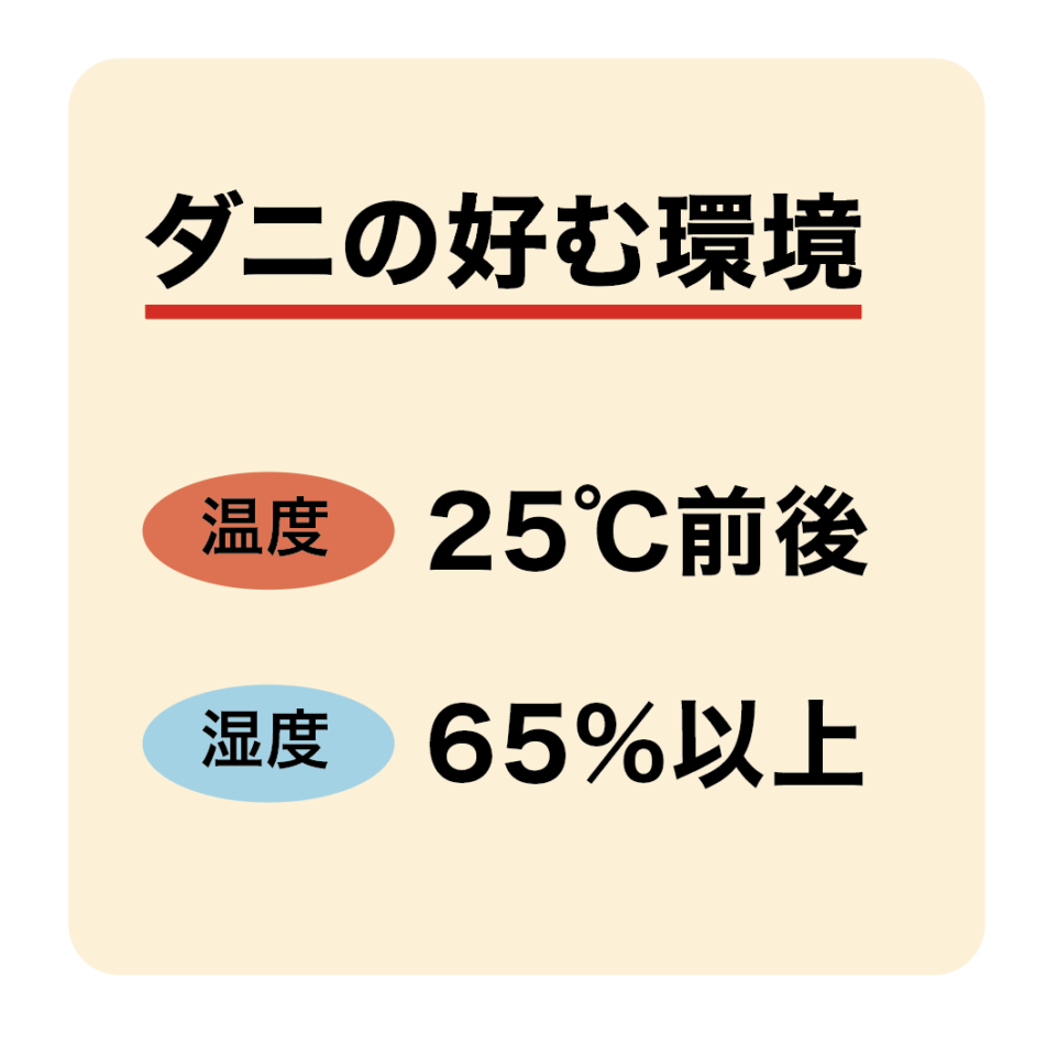 梅雨はダニが急増！今こそ始めたいダニ対策 | 株式会社SHIMADA